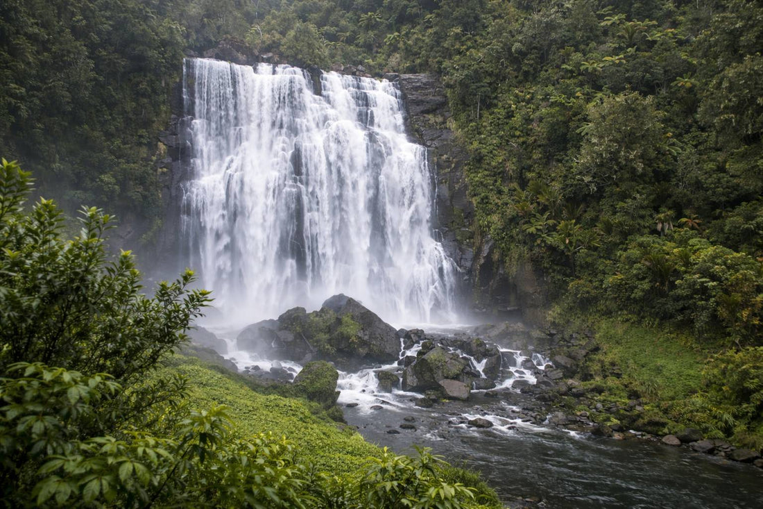 Marokopa Falls Walk: Honest Guide to One of the Best Waterfalls in the ...